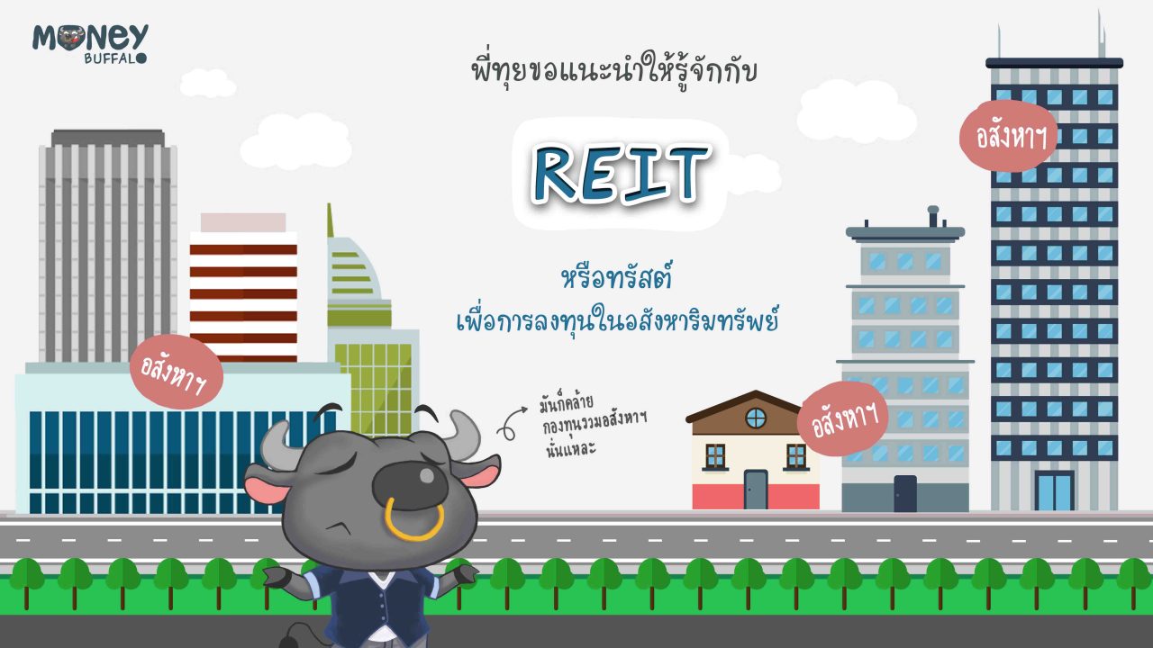 วิธีลงทุนอสังหาฯง่ายๆ ใช้เงินแค่นิดเดียว ! - Money Buffalo