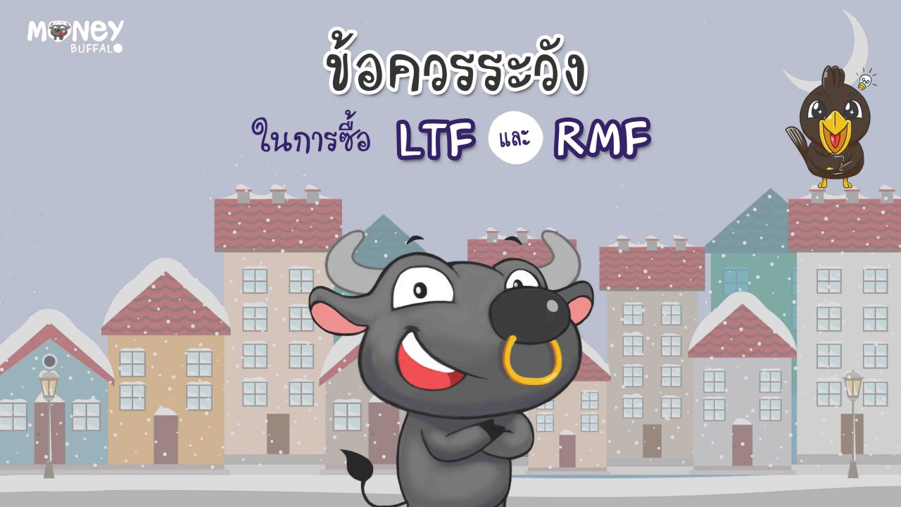 ข้อควรระวังในการซื้อ LTF และ RMF - Money Buffalo
