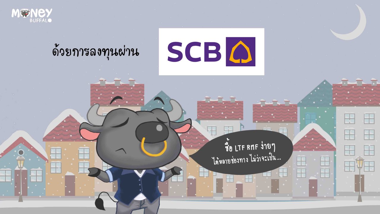 ข้อควรระวังในการซื้อ LTF และ RMF - Money Buffalo