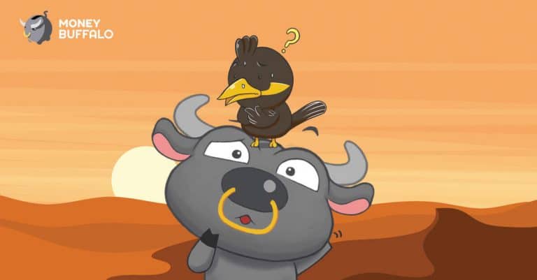 เห็นเพื่อนซื้อ “SSF RMF” แล้วเราจำเป็นต้องซื้อด้วยมั้ย ? - Money Buffalo