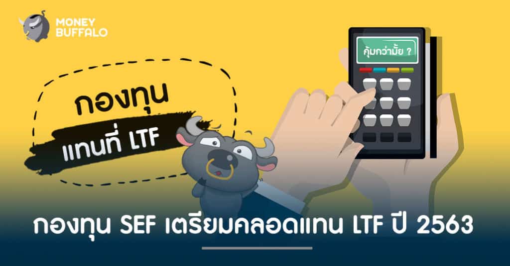 “กองทุน SEF” เตรียมคลอดแทน LTF ปี 2563 - Money Buffalo