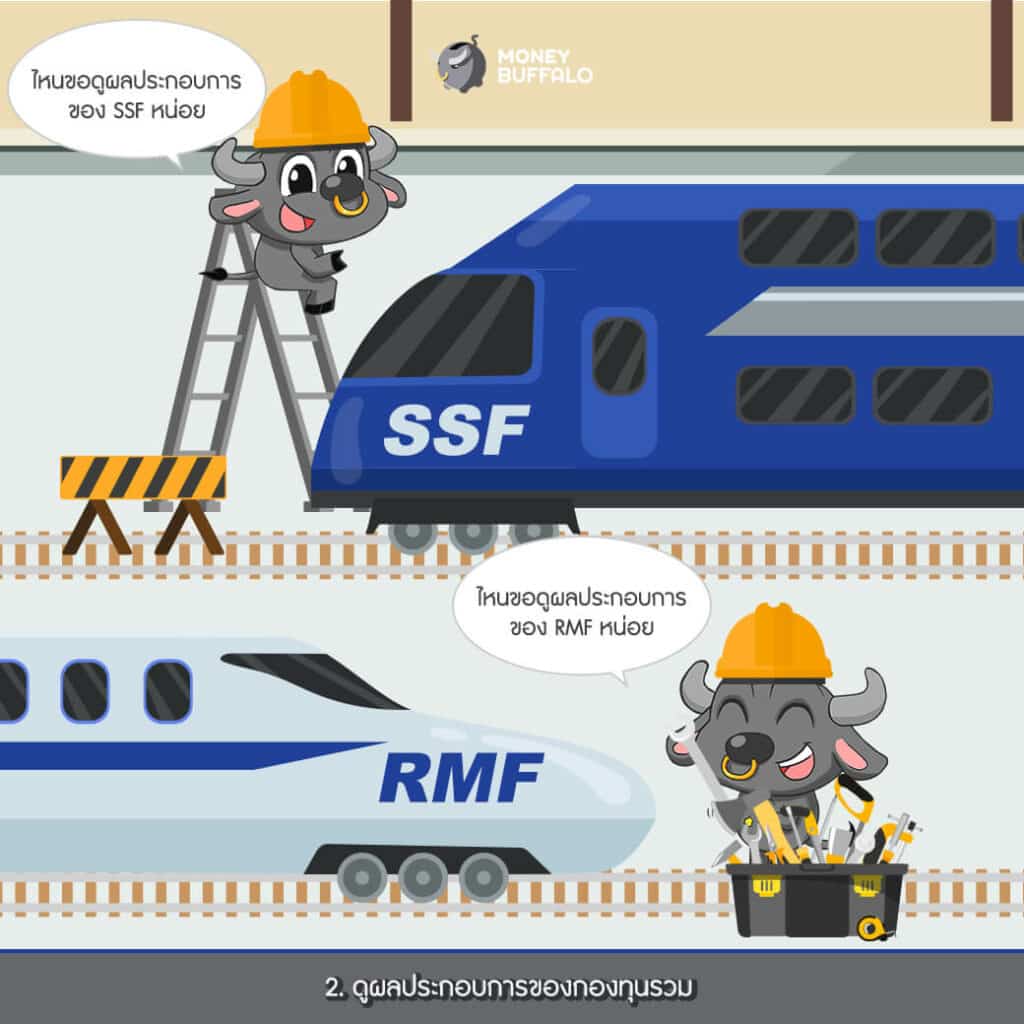 “SSF vs RMF” เลือกแบบไหนดีกว่ากัน? - Money Buffalo
