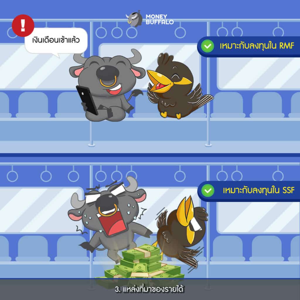 “SSF vs RMF” เลือกแบบไหนดีกว่ากัน? - Money Buffalo