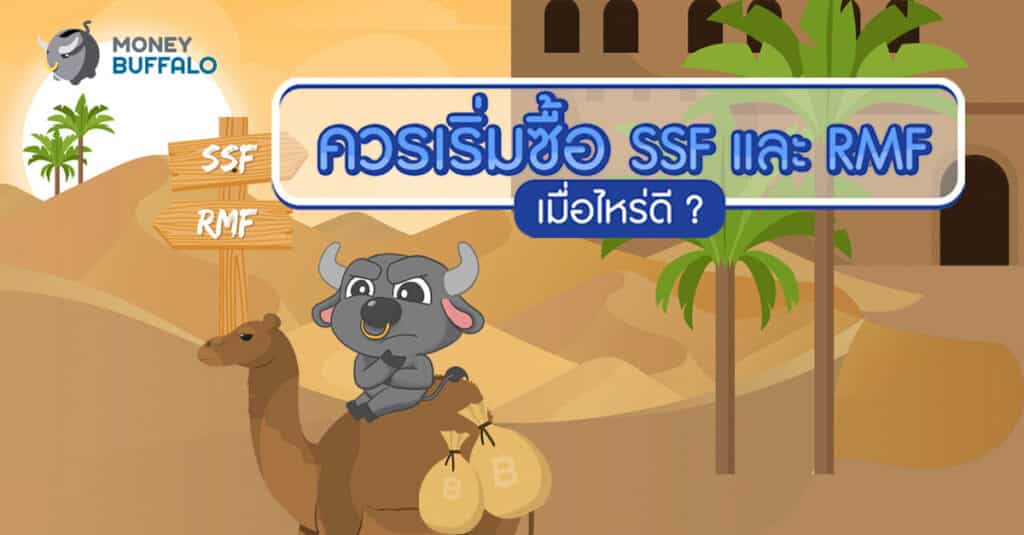 ควรเริ่มซื้อ “SSF และ RMF” เมื่อไหร่ดี ? - Money Buffalo