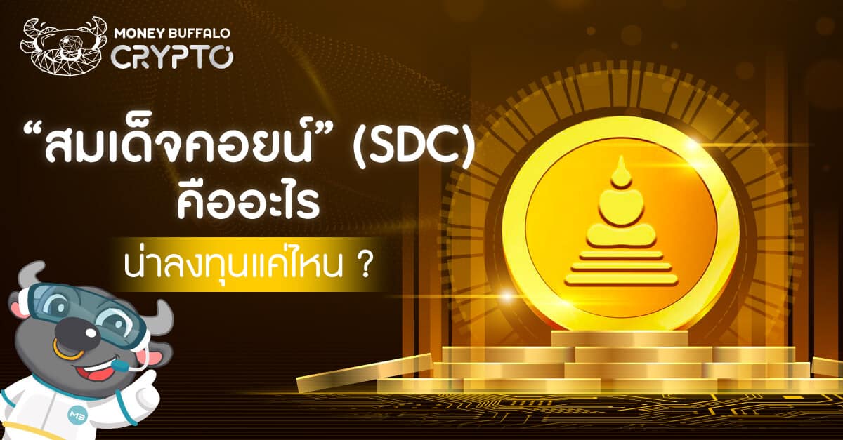 “สมเด็จคอยน์” (SDC) คืออะไร น่าลงทุนแค่ไหน ? - Money Buffalo